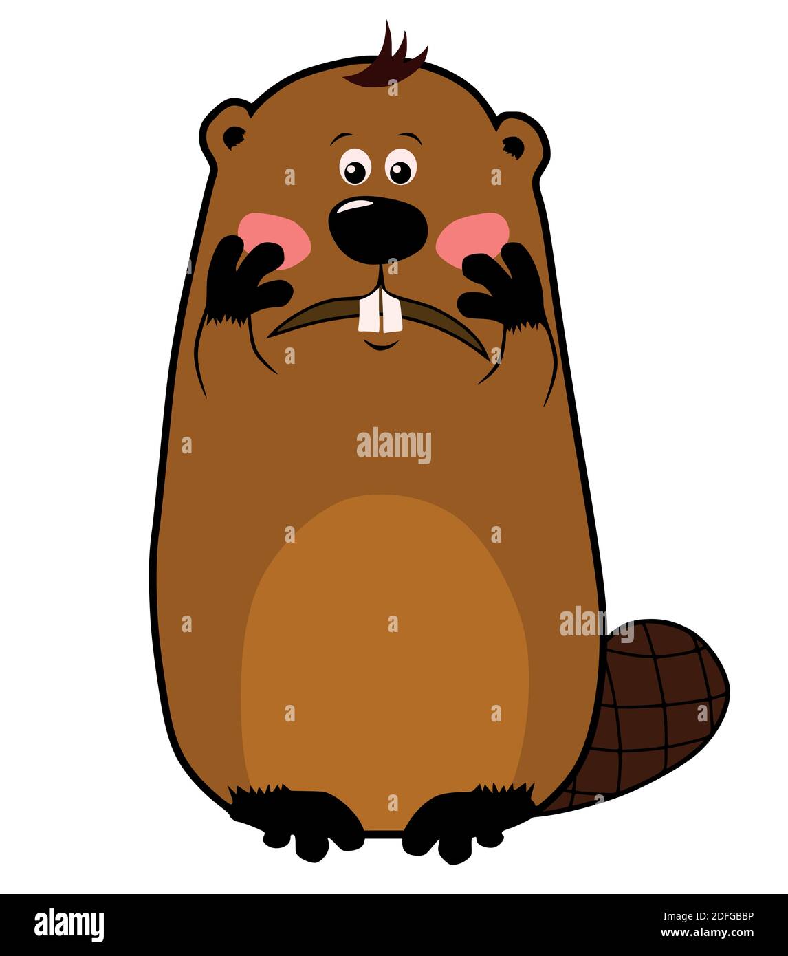 Fat cute beaver hi-res stock photography and images - Alamy