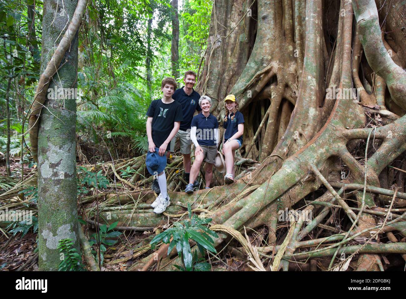 Family group amongst roots of huge Small-leafed Fig (Ficus obliqua ...