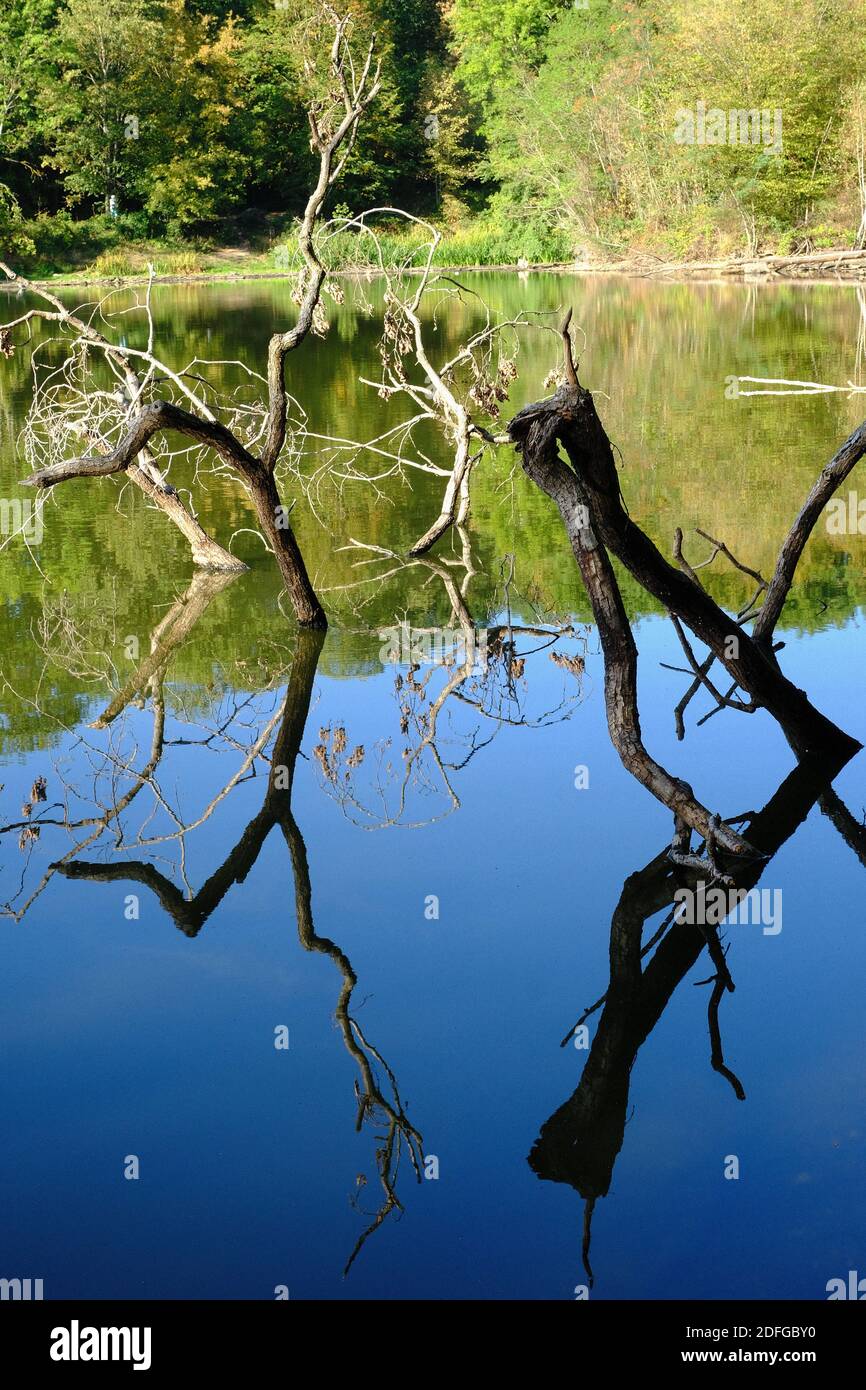 Meudon State Forest and its 9 ponds are spread over nearly 1,100 ...