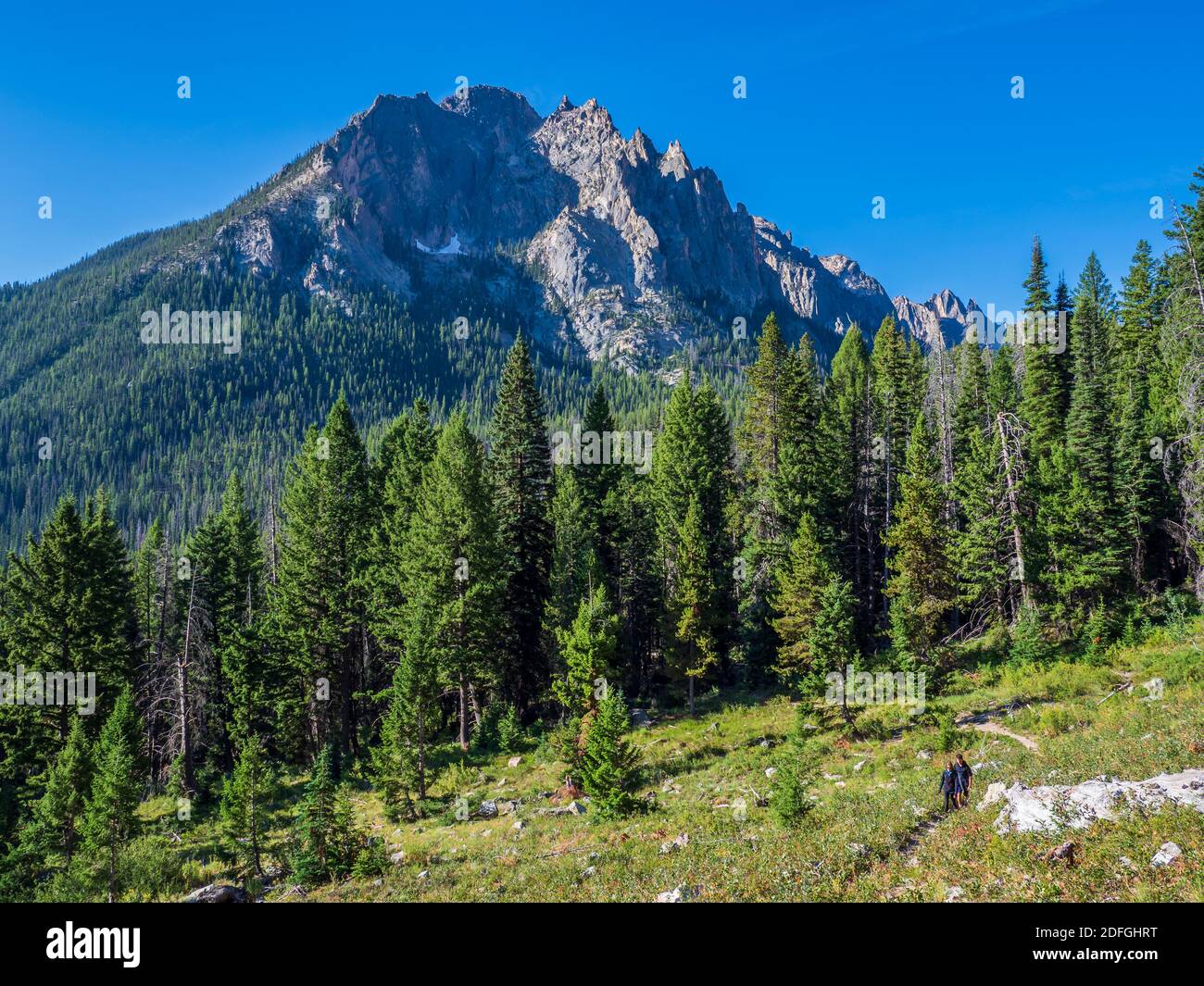 Grand Mogul Peak from the Redfish Lake Creek Trail, Sawtooth National Recreation Area, Stanley ...