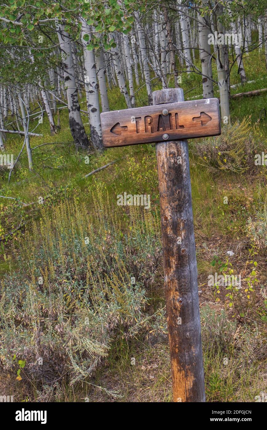 Sawtooth national recreation area sign hi-res stock photography and ...