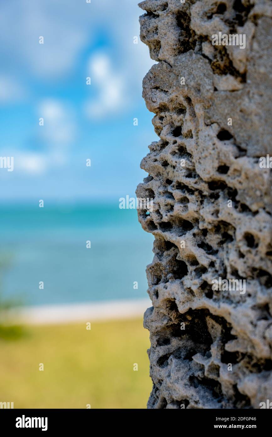 Miami beach coral wall hi-res stock photography and images - Alamy