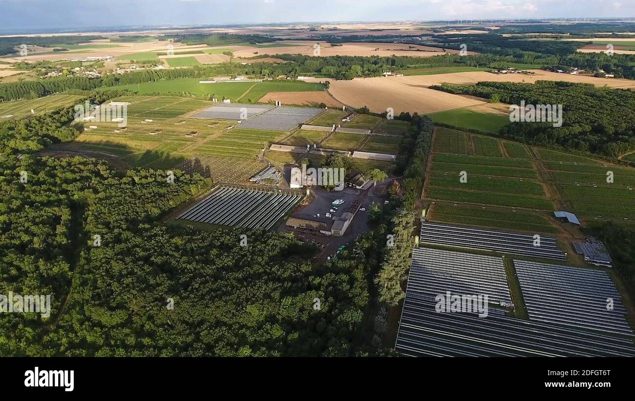 Hand out screen grabs from a new shocking video unveiled by French ...