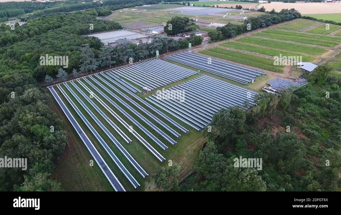 Oiseaux cages à oiseaux hi-res stock photography and images - Alamy