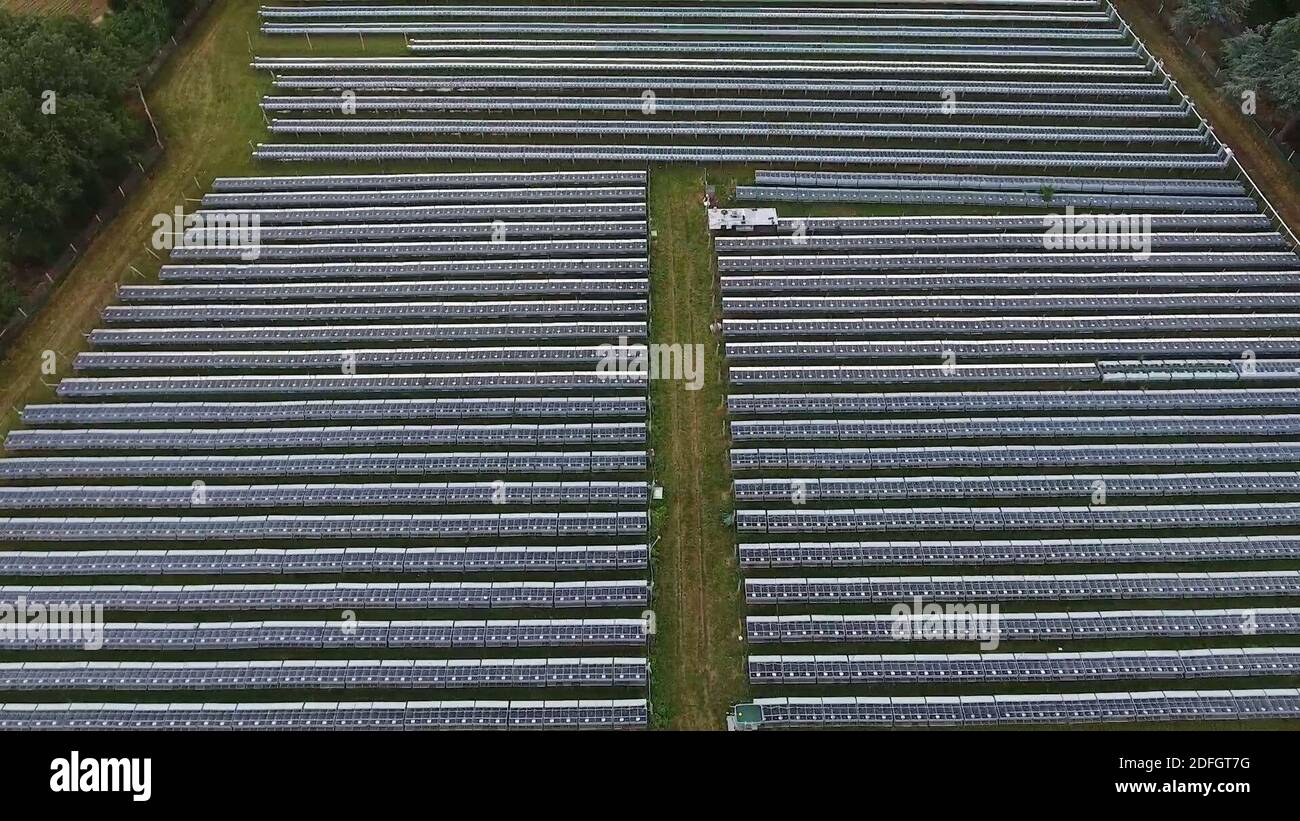 Oiseaux cages à oiseaux hi-res stock photography and images - Alamy