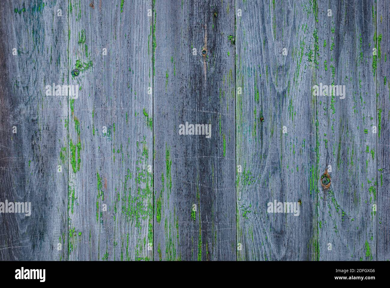 gray faded wooden wall with remnants of peeling green paint and spots ...
