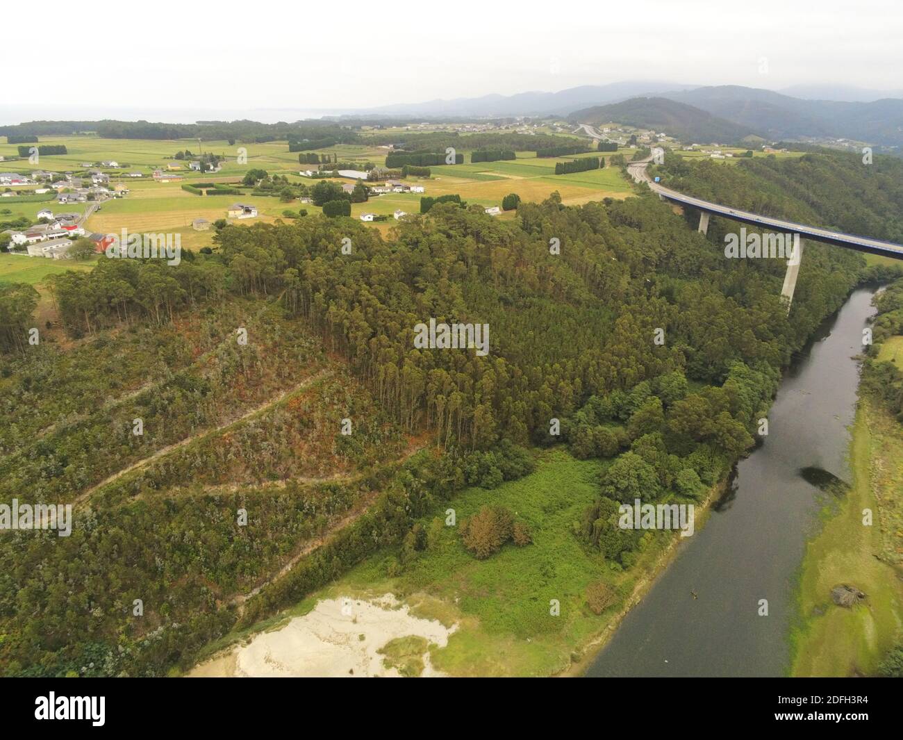 An aerial view of a beautiful landscape covered in greens in Valdes ...