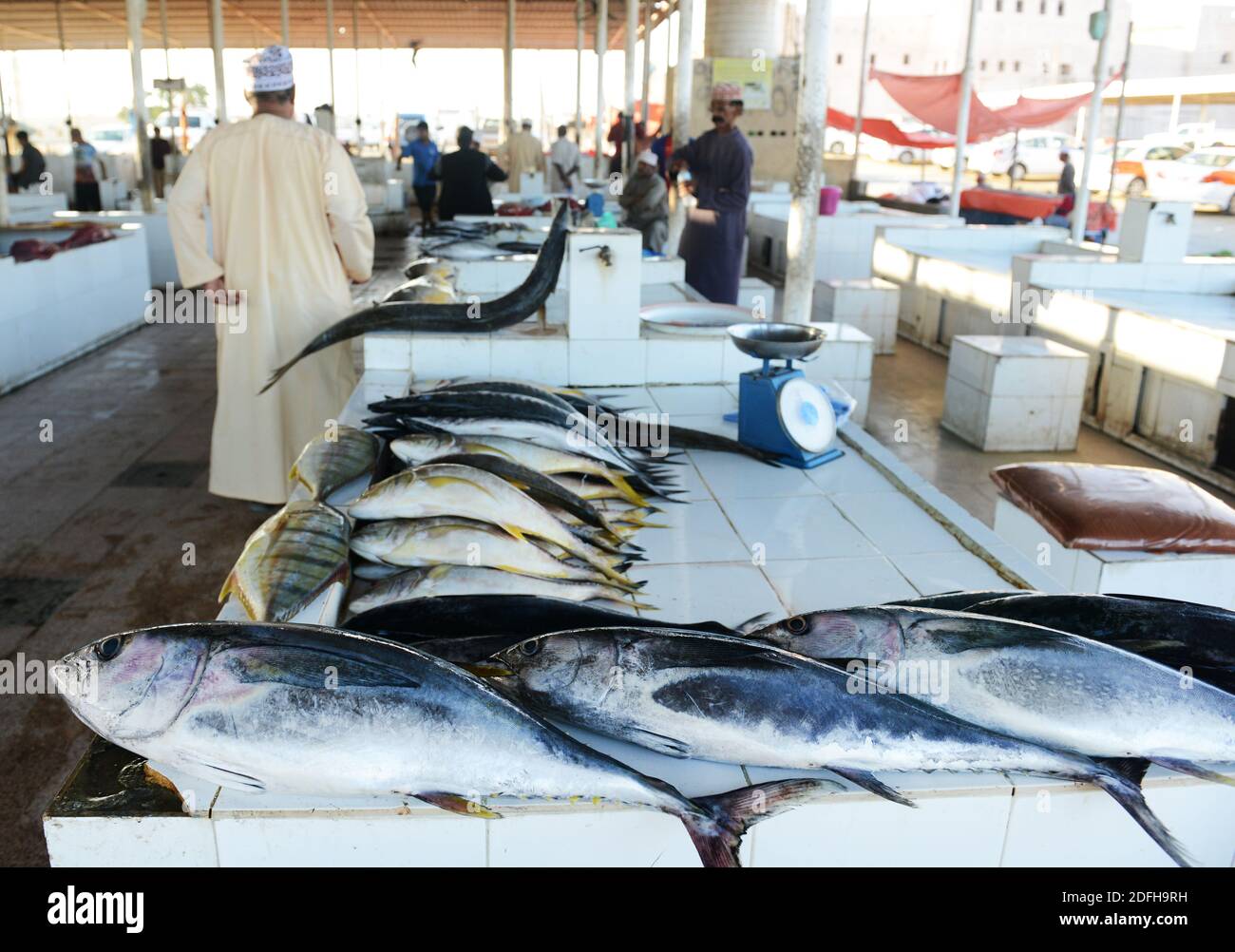 The morning fish market in the coastal town of Barka, Oman Stock Photo ...