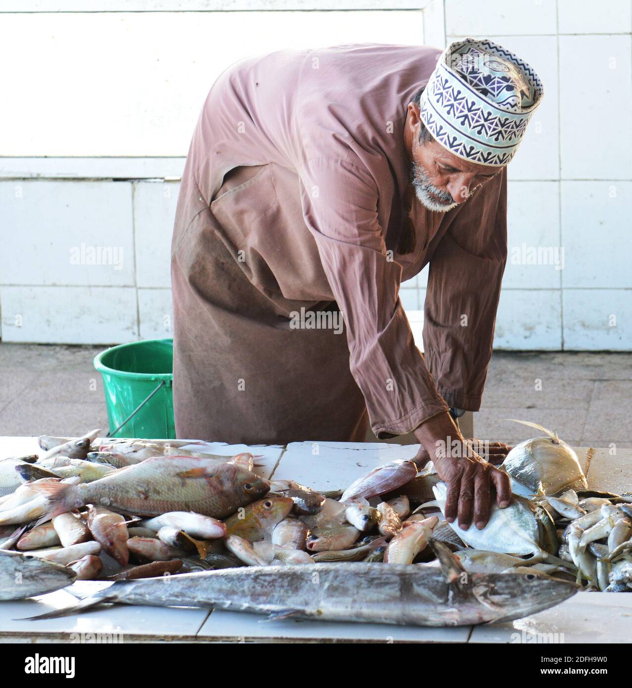 The morning fish market in the coastal town of Barka, Oman Stock Photo ...