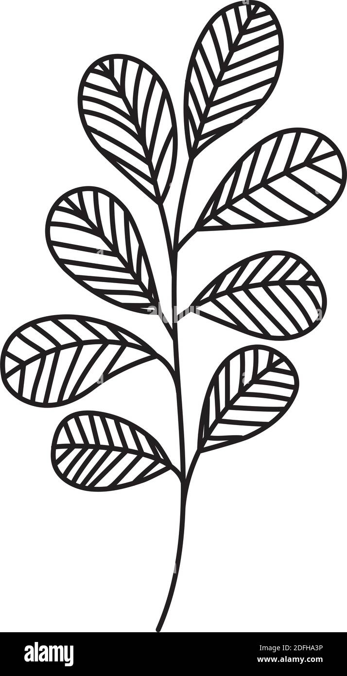 stem with eight leaves in the sides Stock Vector Image & Art - Alamy