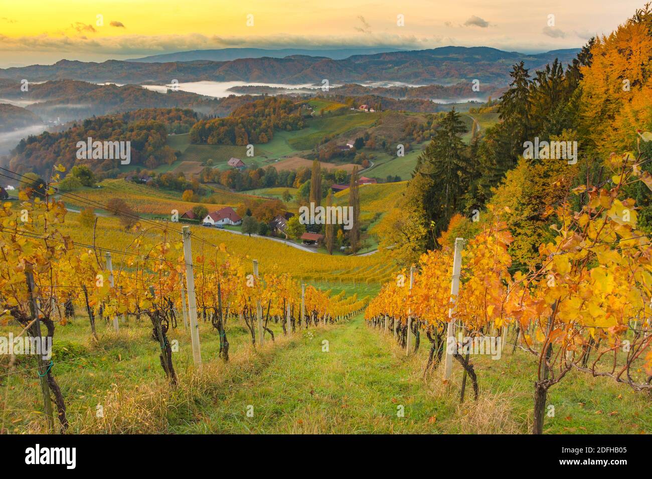 Autumn landscape with South Styria vineyards,known as Austrian Tuscany ...