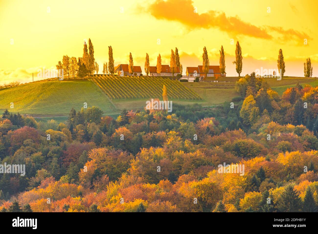 Autumn landscape with South Styria vineyards,known as Austrian Tuscany ...