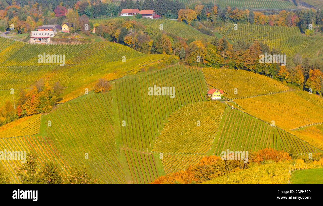 Autumn landscape with South Styria vineyards,known as Austrian Tuscany ...