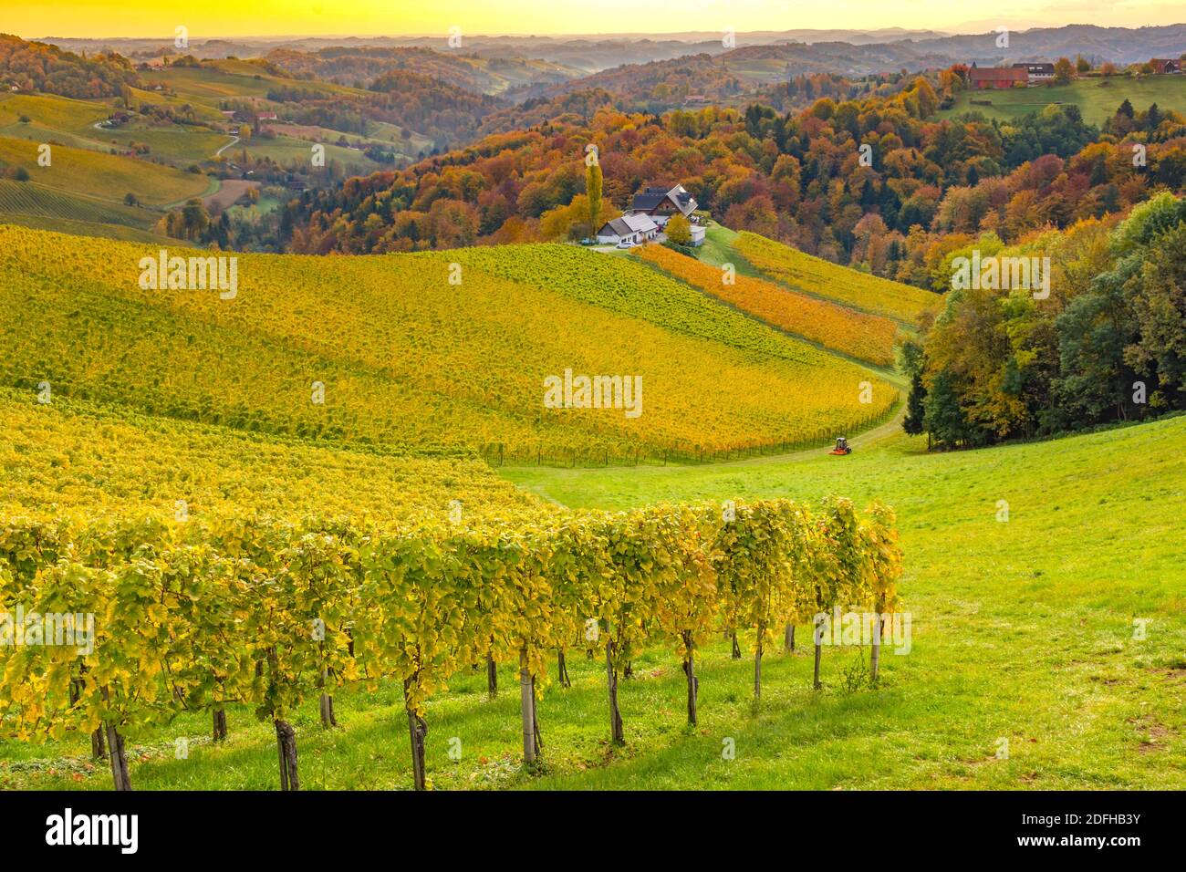Autumn landscape with South Styria vineyards,known as Austrian Tuscany ...