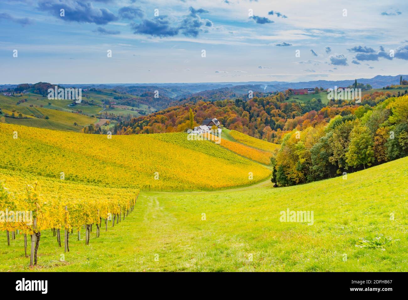 Autumn landscape with South Styria vineyards, known as Austrian Tuscany ...