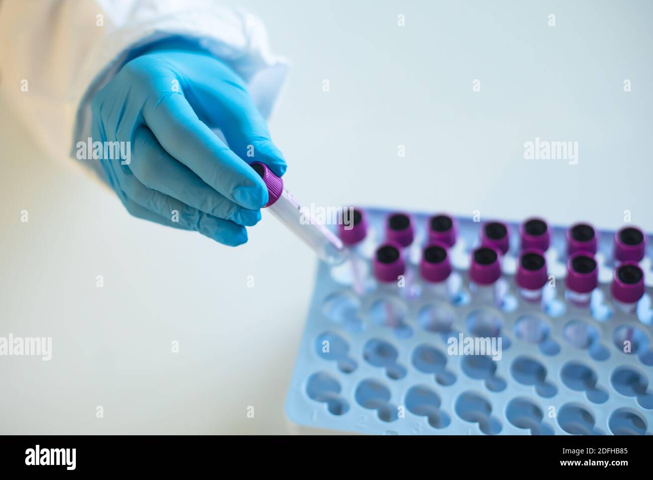 Process of coronavirus testing examination by nurse medic in laboratory ...