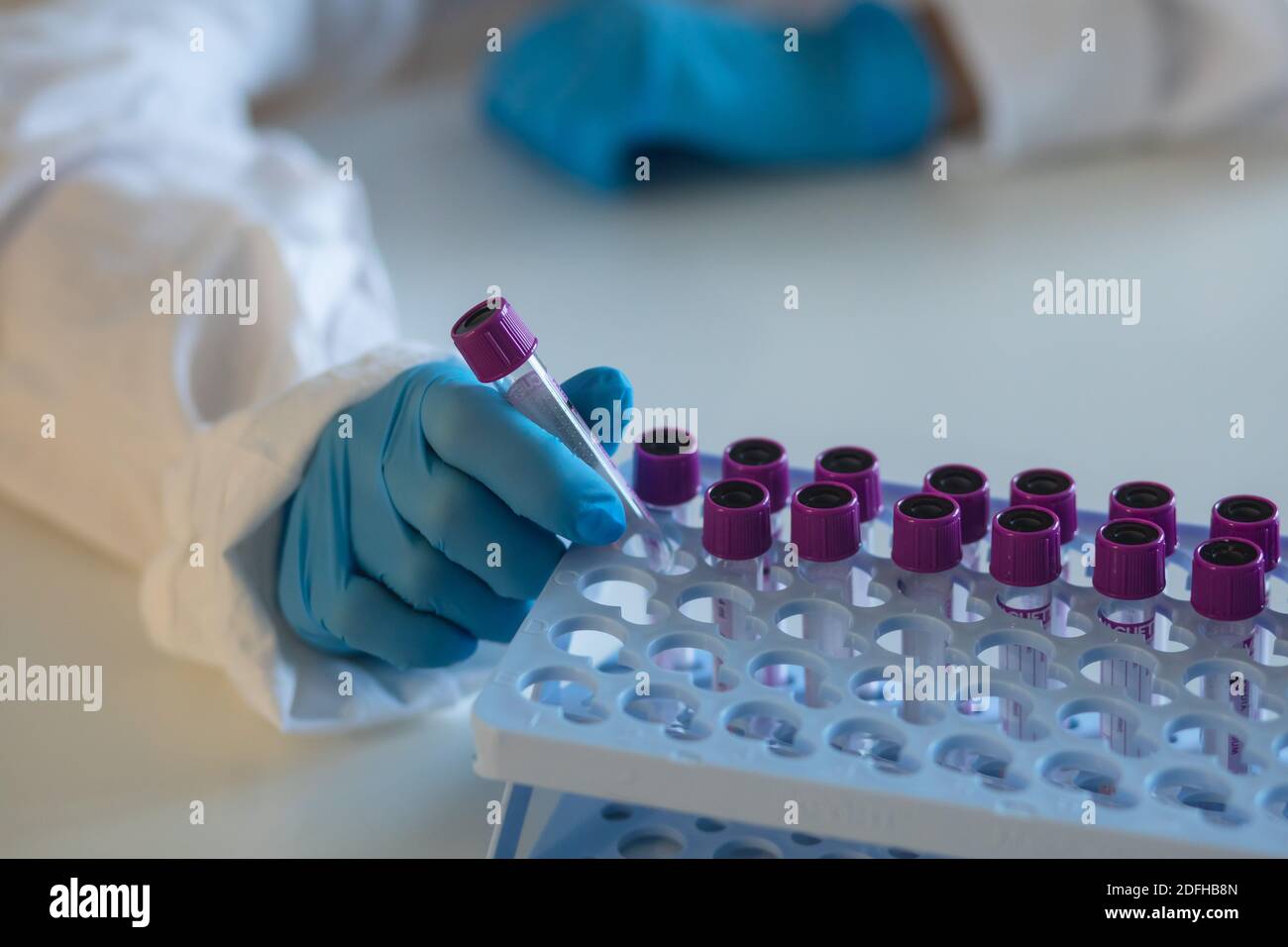 Process of coronavirus testing examination by nurse medic in laboratory ...