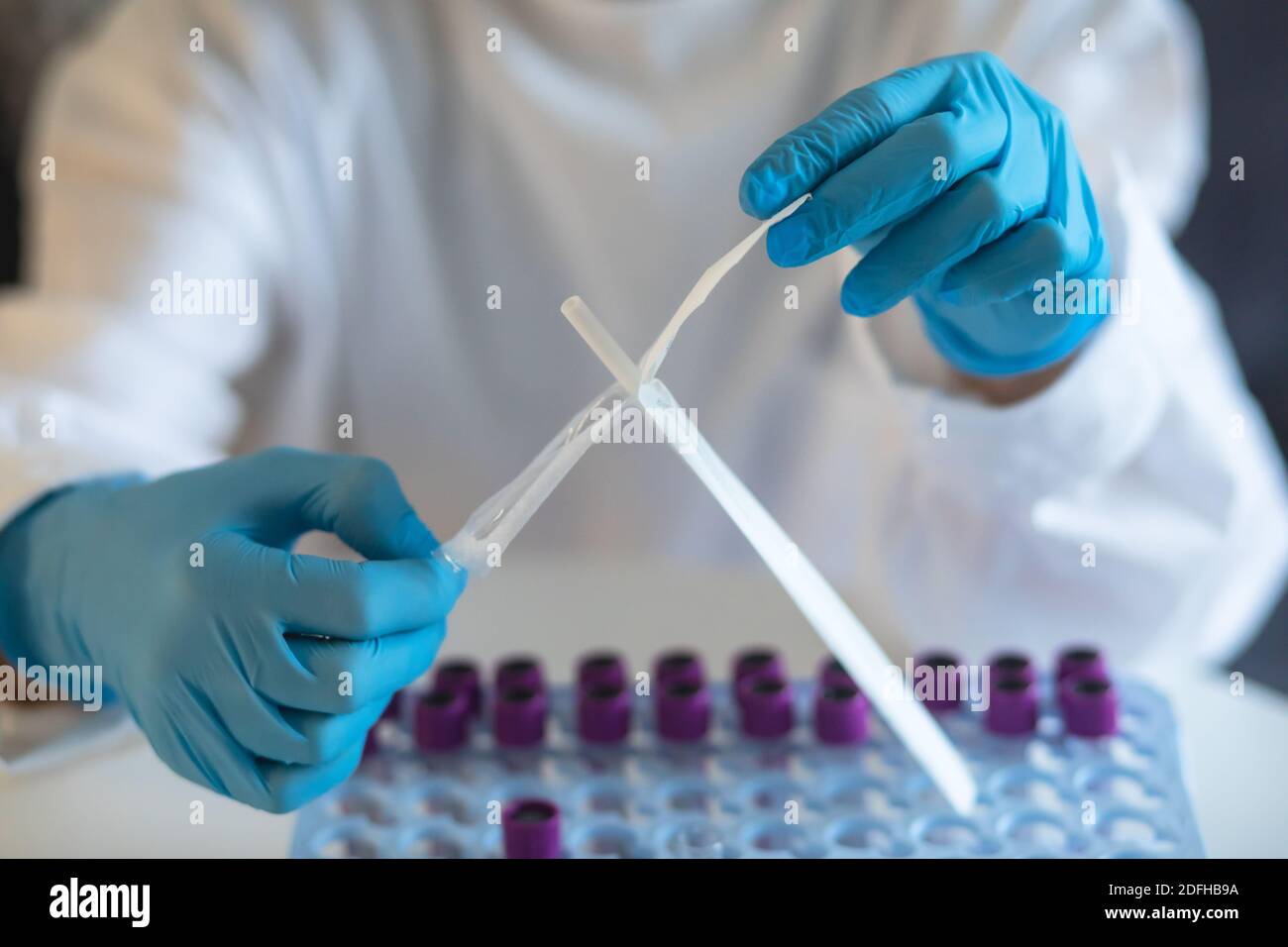 Process of coronavirus testing examination by nurse medic in laboratory ...