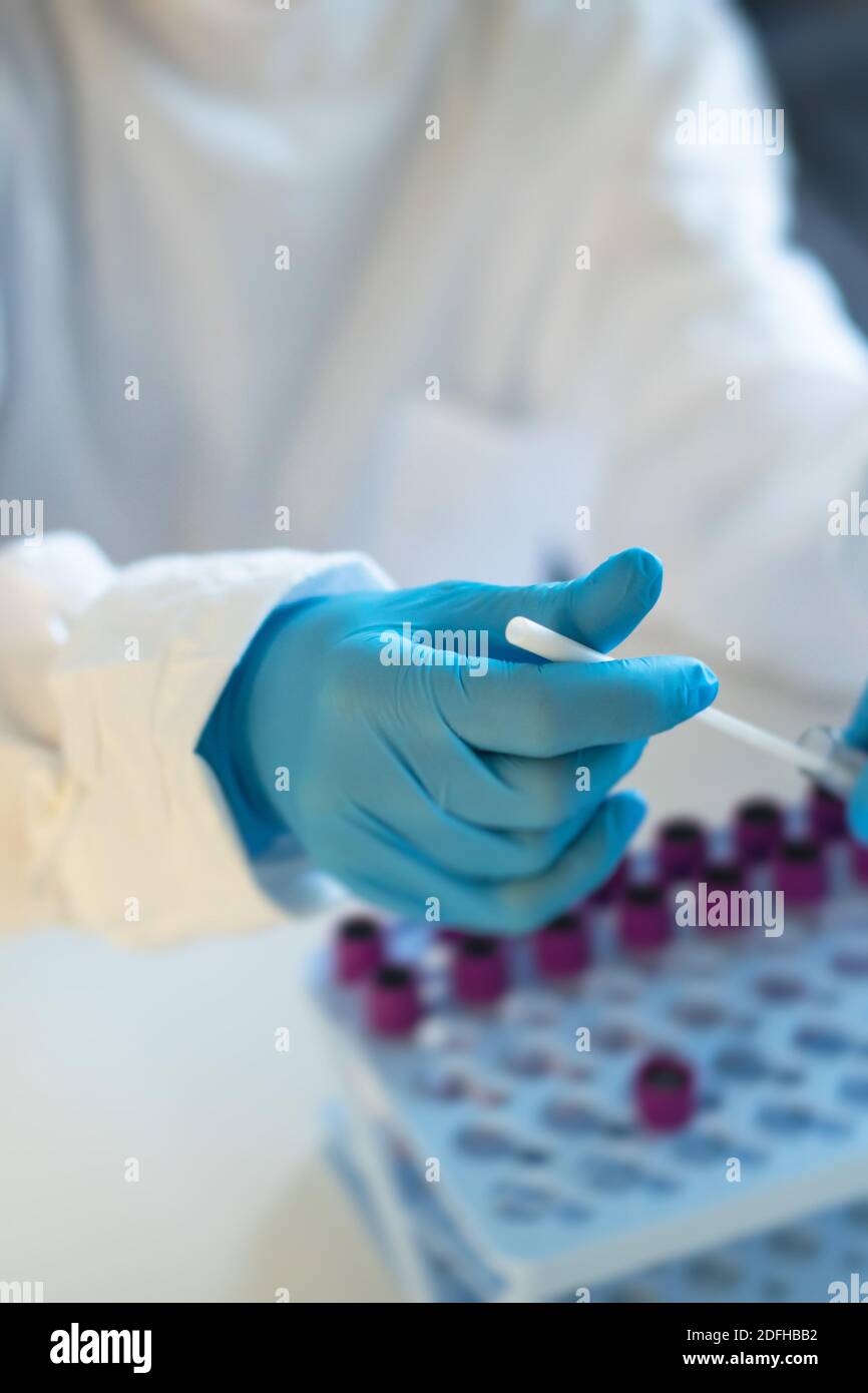 Process of coronavirus testing examination by nurse medic in laboratory ...