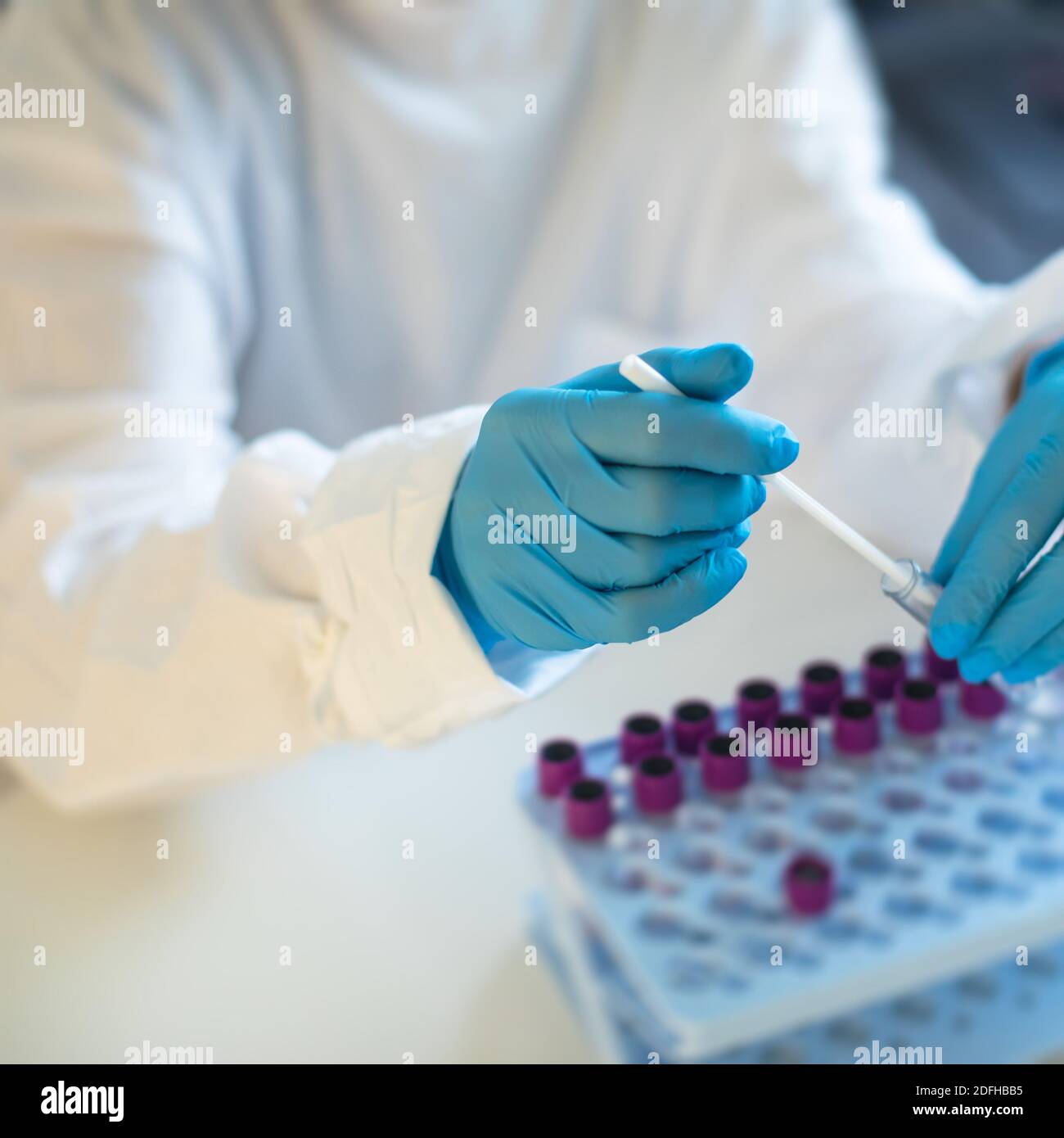 Process of coronavirus testing examination by nurse medic in laboratory ...