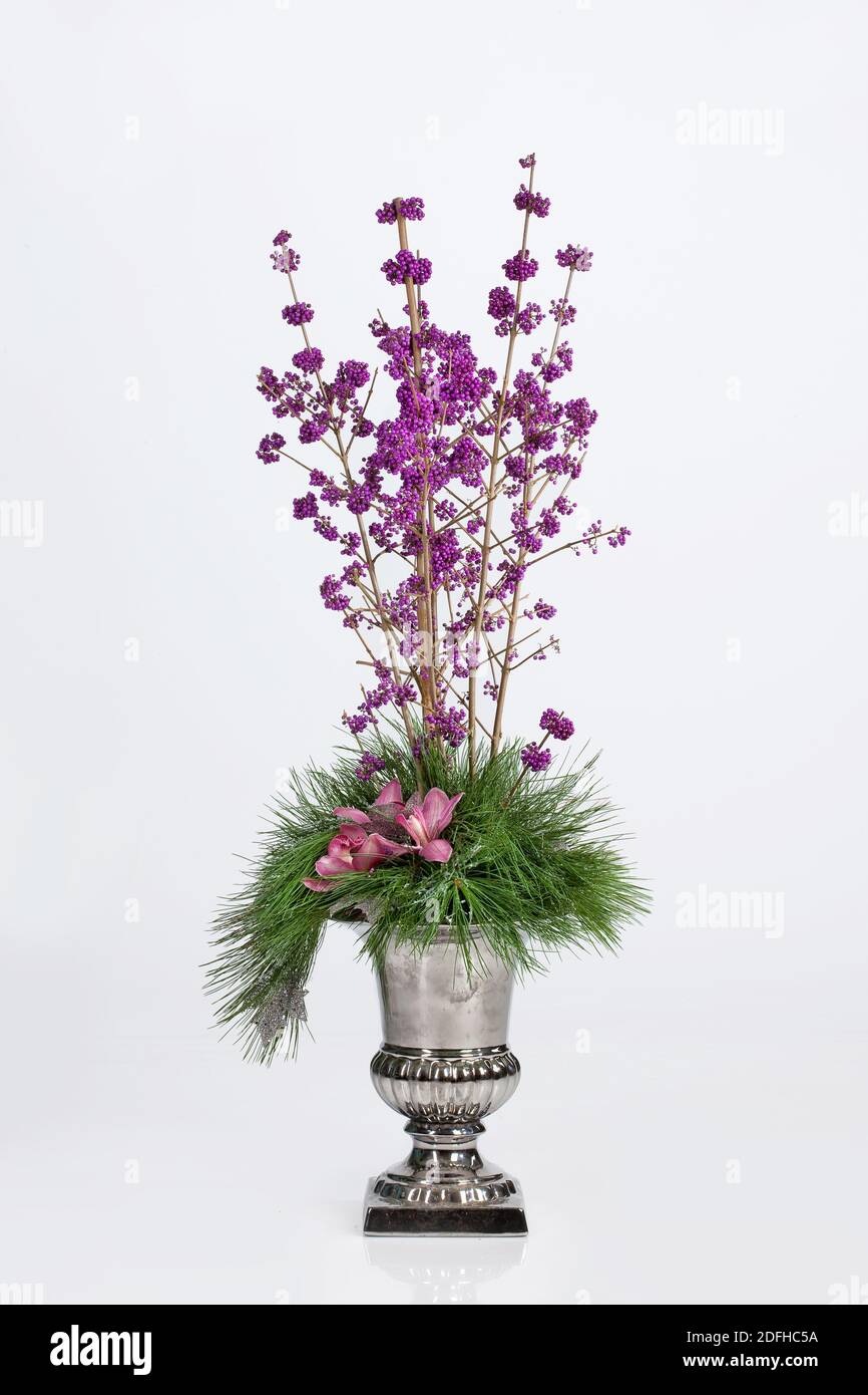 Composition of flowers on isolated background Stock Photo - Alamy