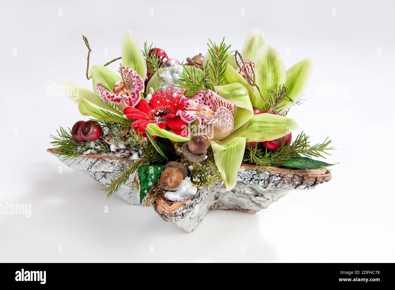 Composition of flowers on isolated background Stock Photo - Alamy