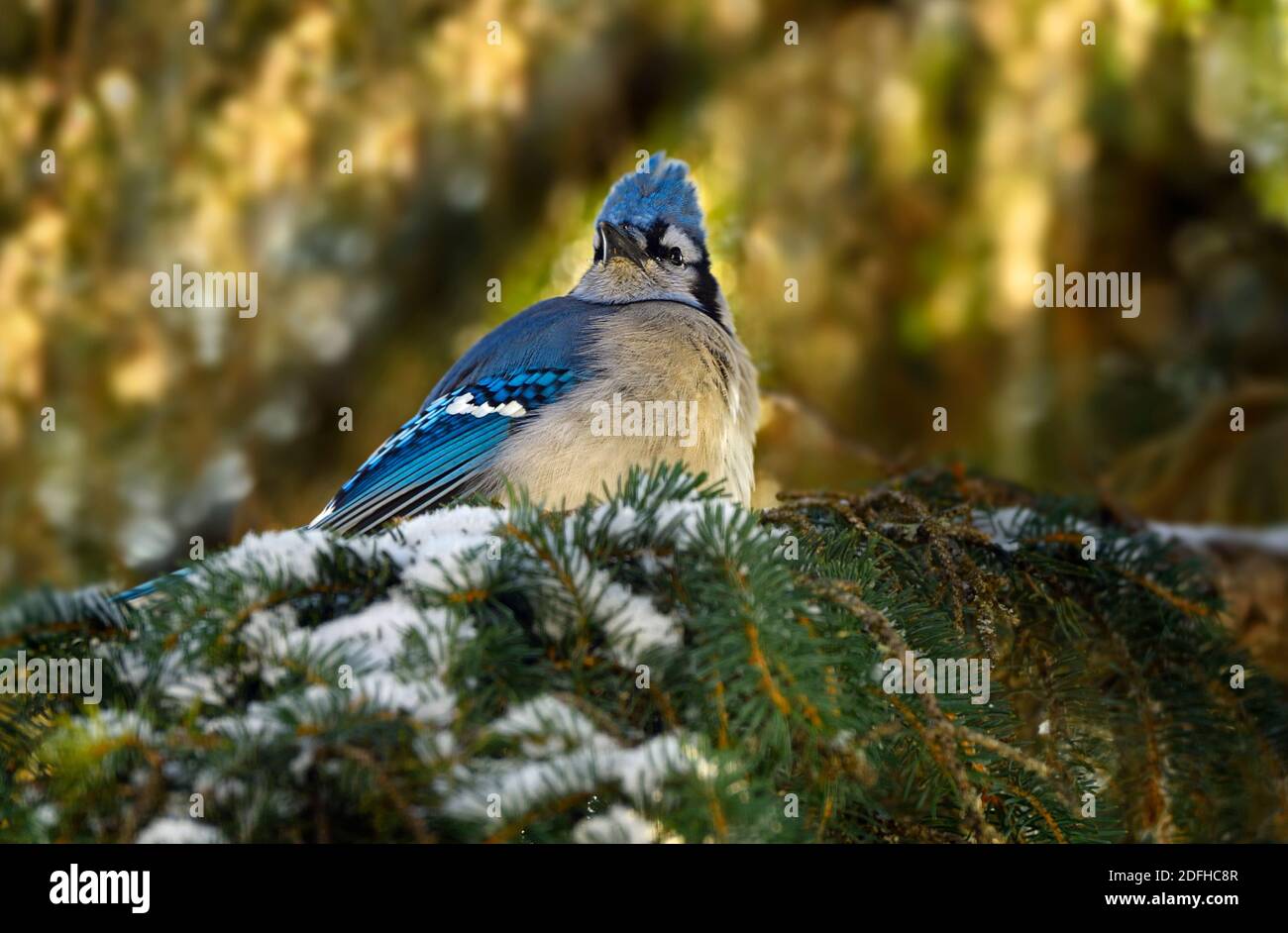 Alert canada hi-res stock photography and images - Alamy