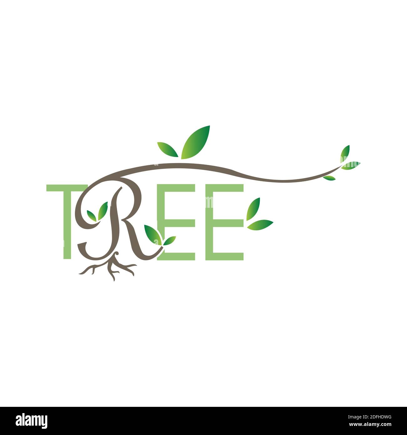 The paintbrush plant Stock Vector Images - Alamy