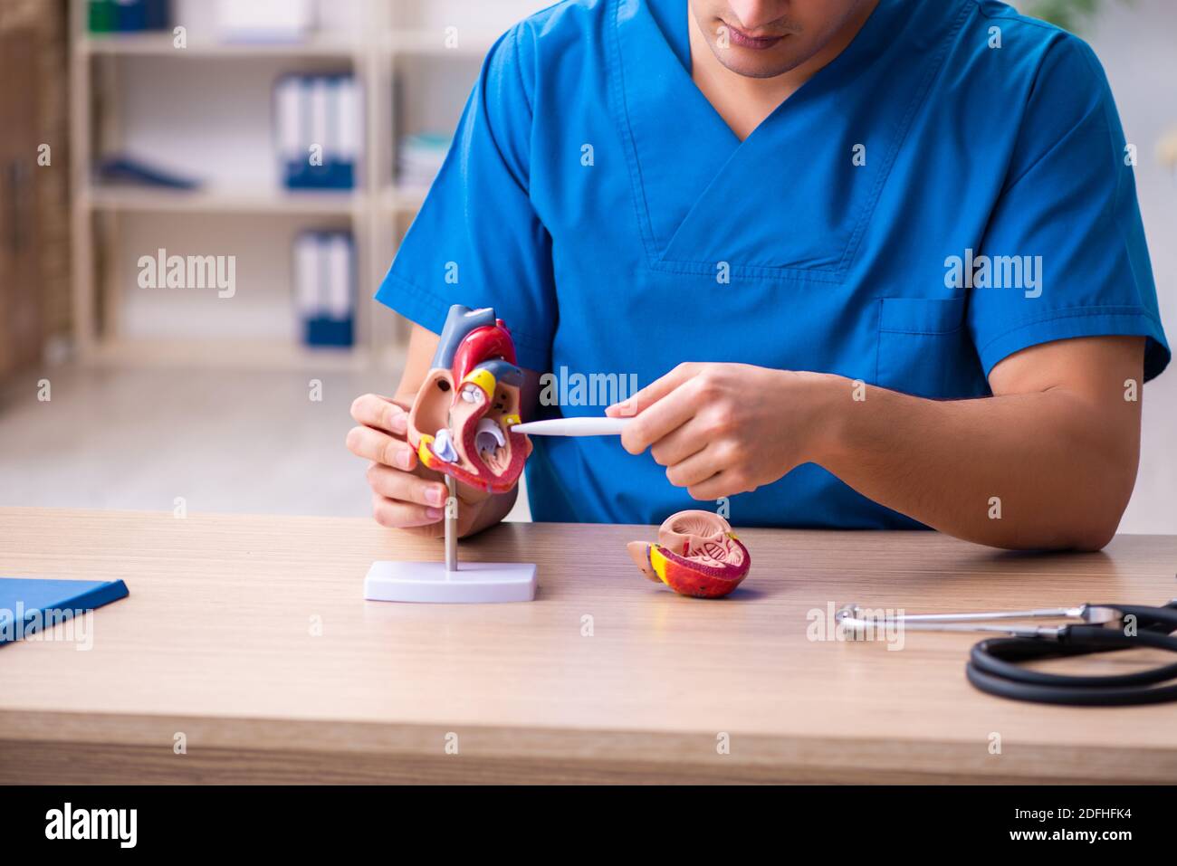 Male doctor cardiologist explaining heart model Stock Photo - Alamy