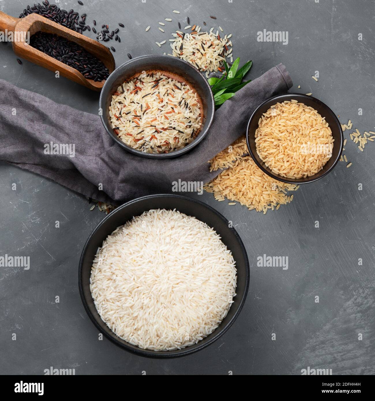 Jasmine grey hi-res stock photography and images - Alamy