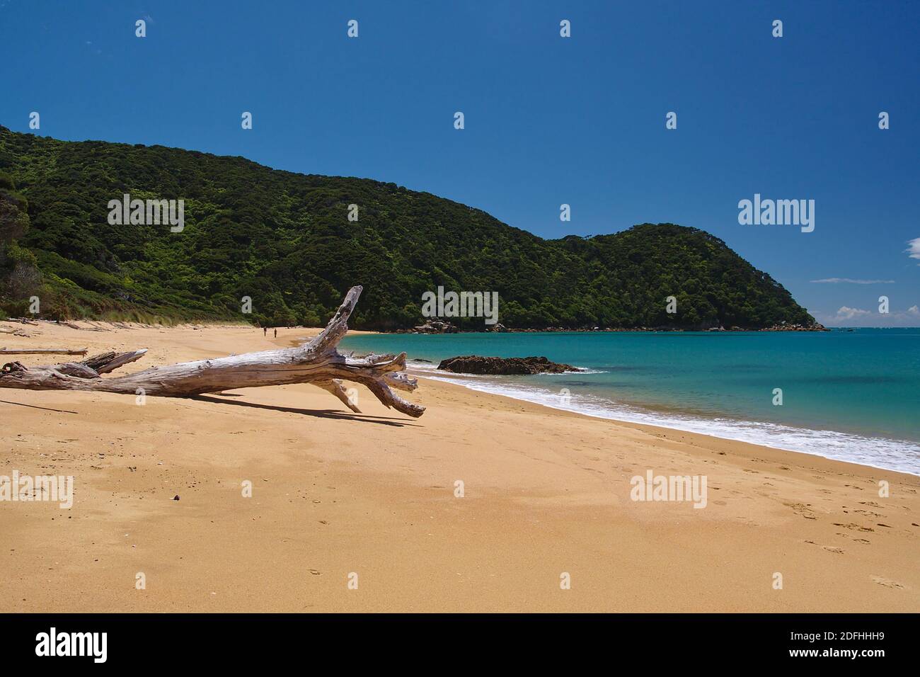 Mutton cove beach hi-res stock photography and images - Alamy