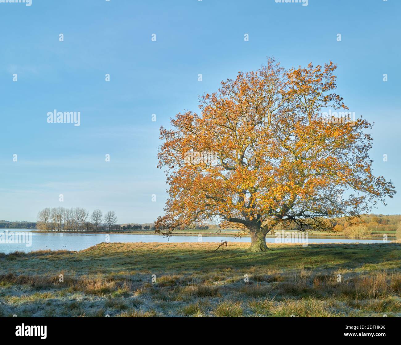 Early sunlight over a lake on a frosty late autumn morning Stock Photo ...