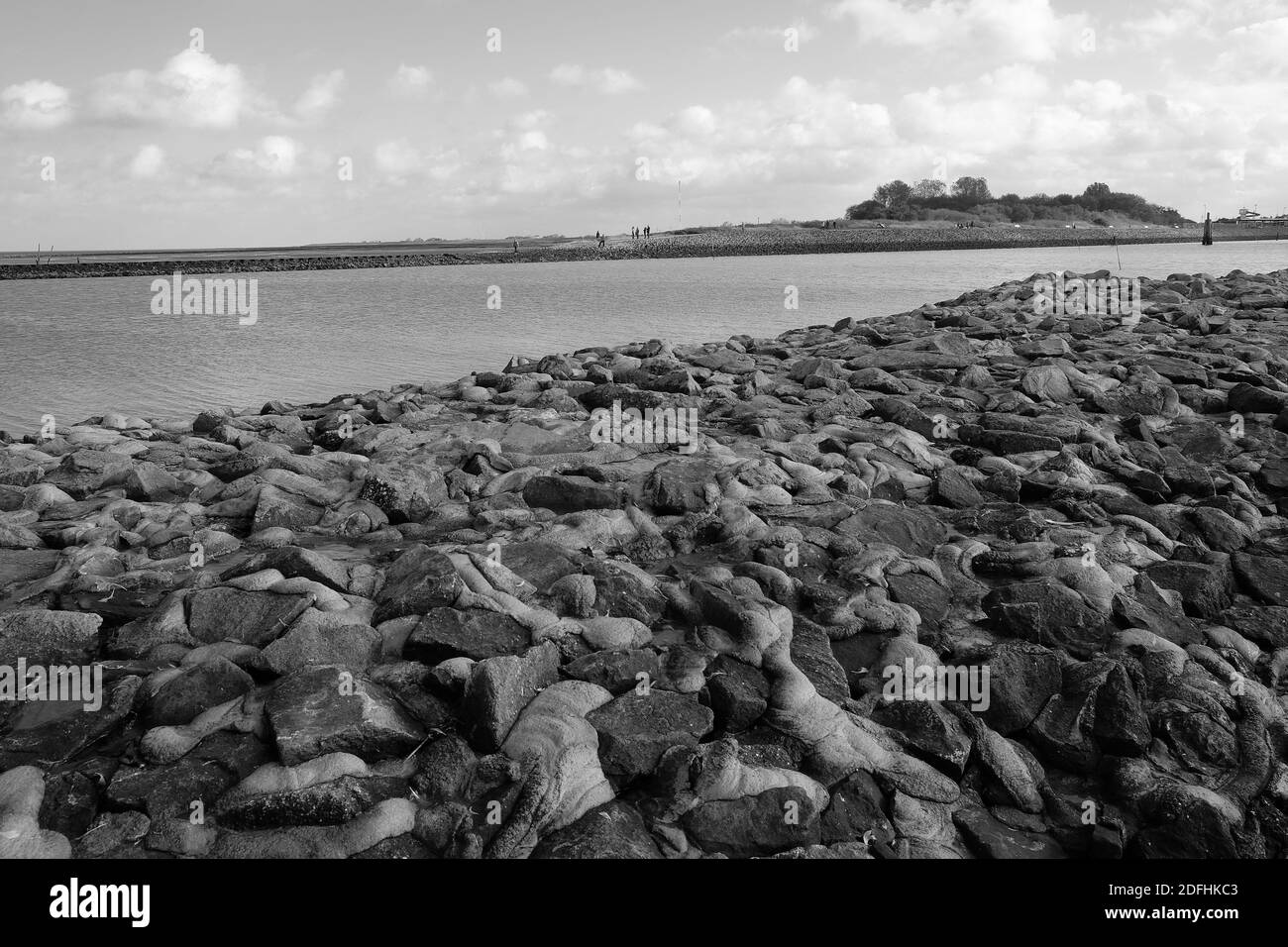A greyscale shot of the rocks by the sea captured during the daytime ...