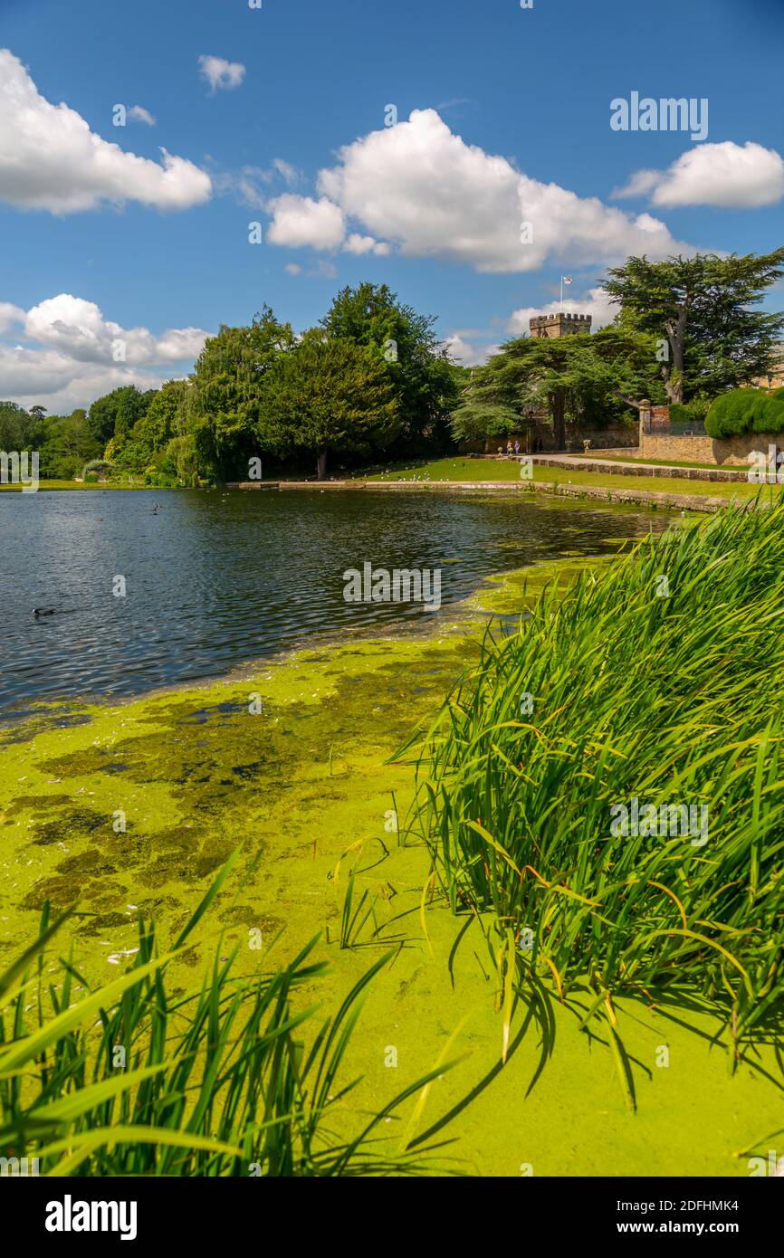 View of Melbourne Parish Church and The Pool on a sunny day, South ...