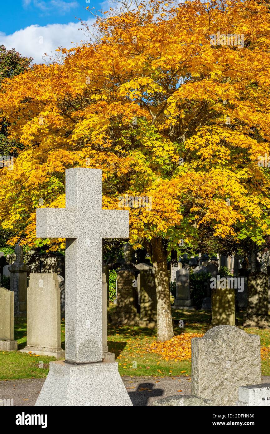 Springbank hi-res stock photography and images - Alamy