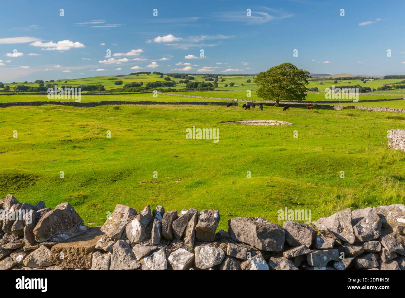 View of dry stone walls near Litton, Peak District National Park ...