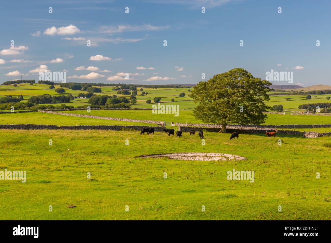 View of dry stone walls near Litton, Peak District National Park ...