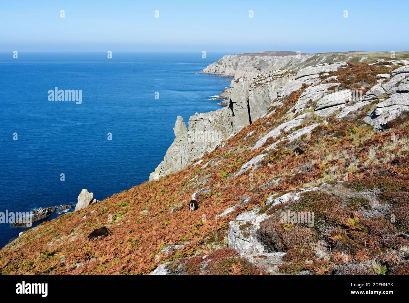 Lundy Island, North Devon, England Stock Photo - Alamy