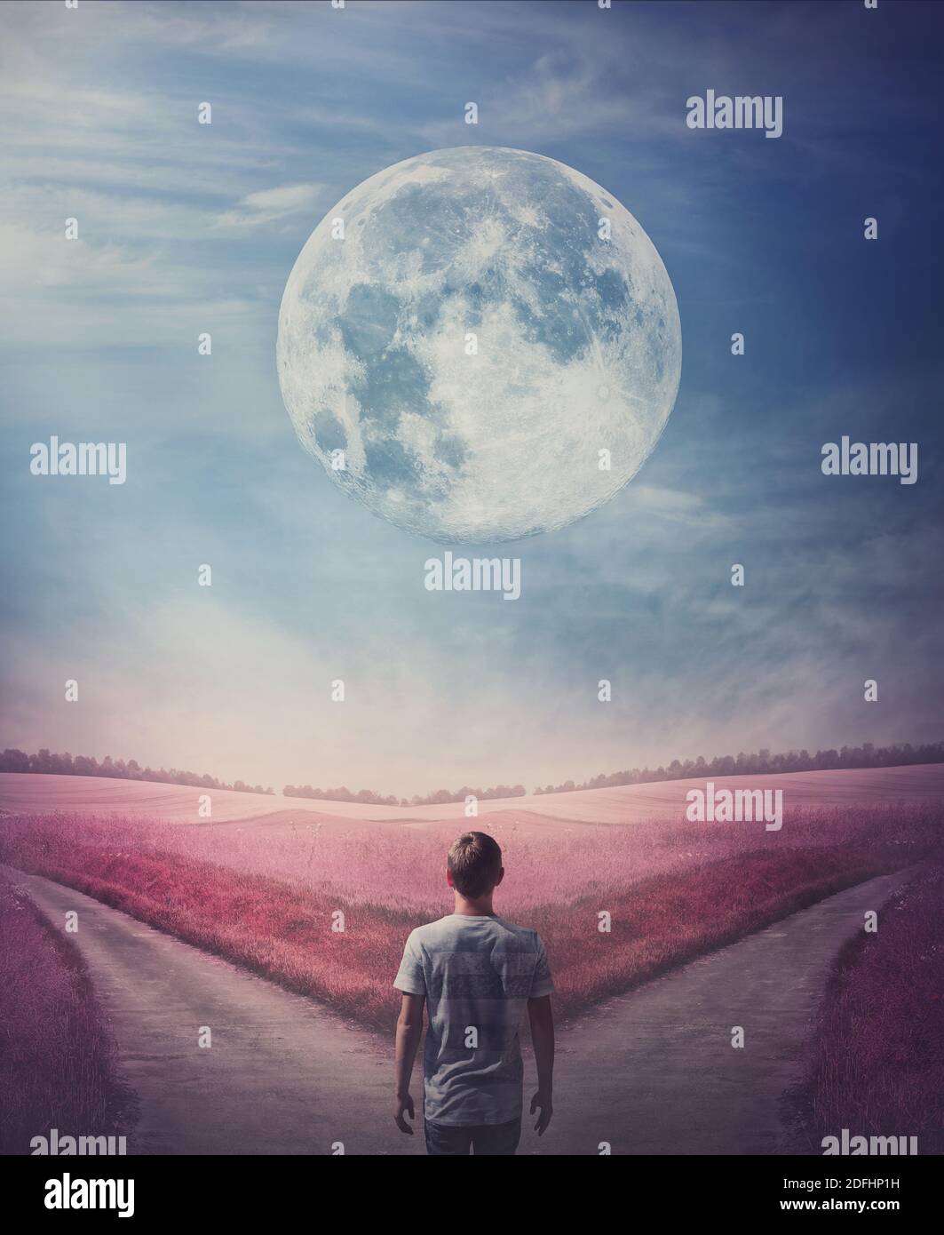 Full moon path field hi-res stock photography and images - Alamy