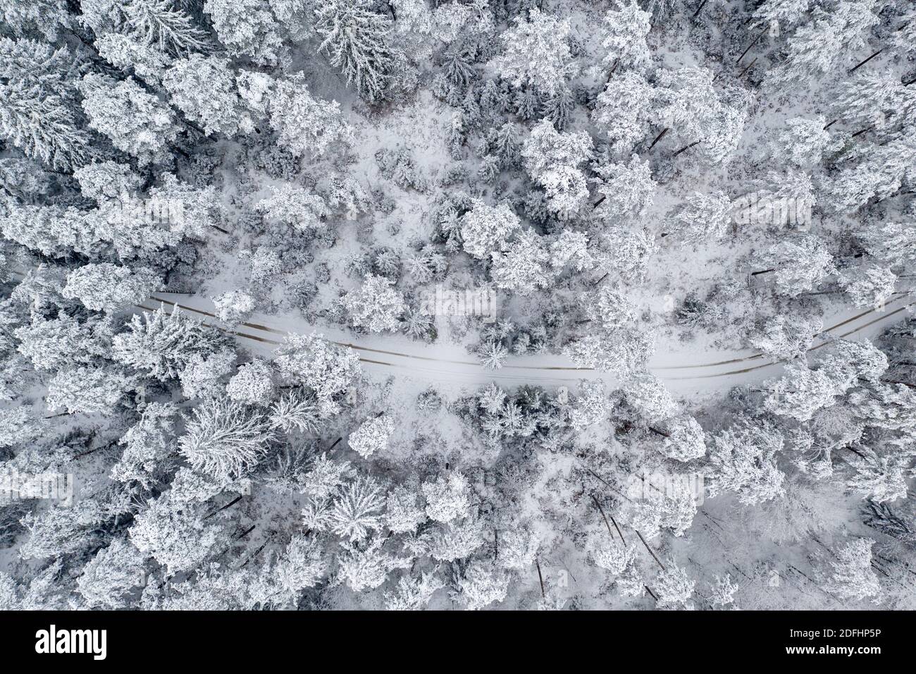 Aerial view of winter road in snowy forest. Drone captured shot from ...