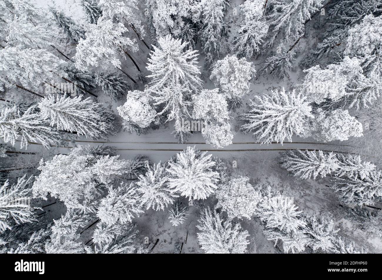 Snowy forest drone hi-res stock photography and images - Alamy