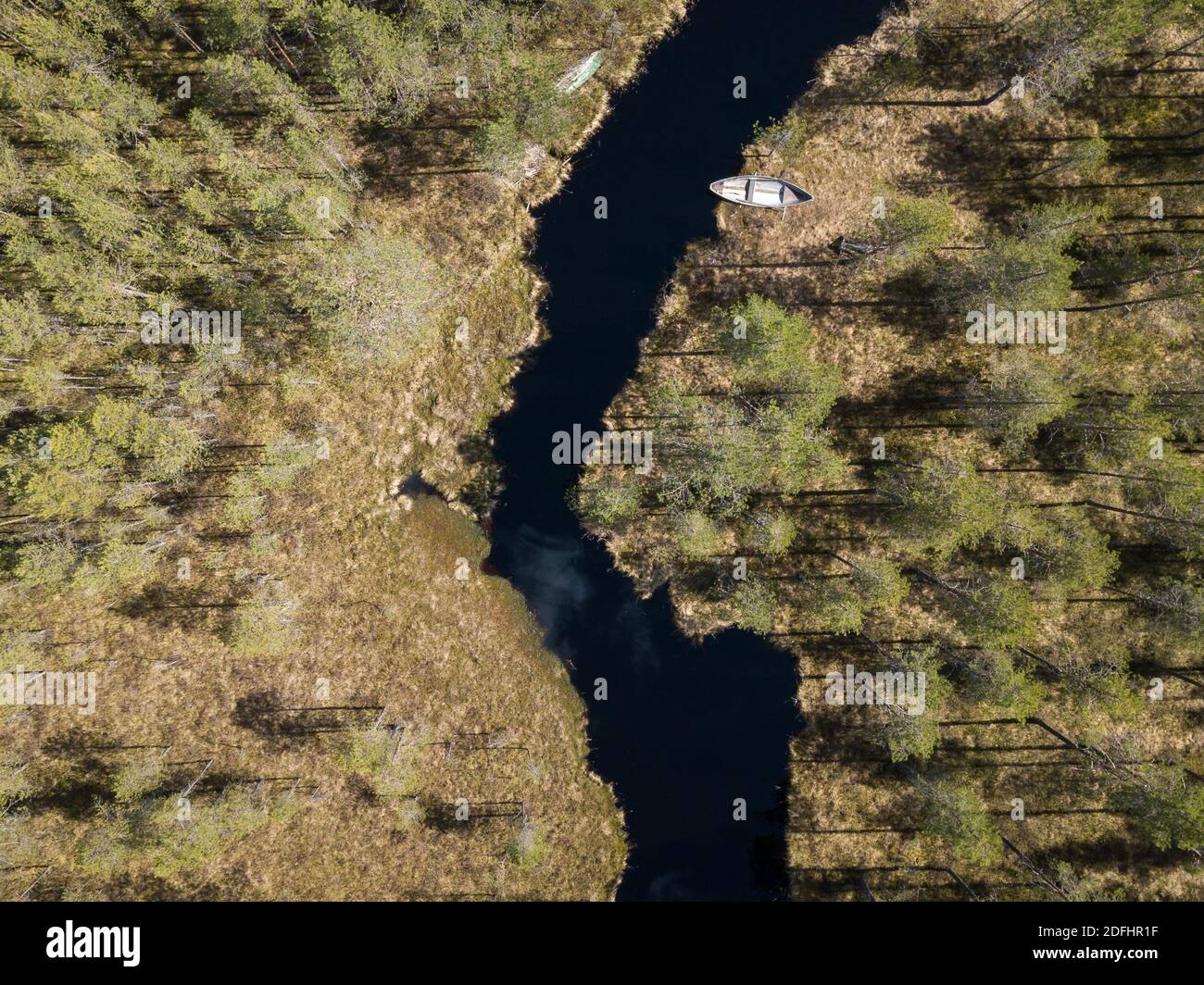 Aerial shot of river at bog with coniferous trees Stock Photo - Alamy