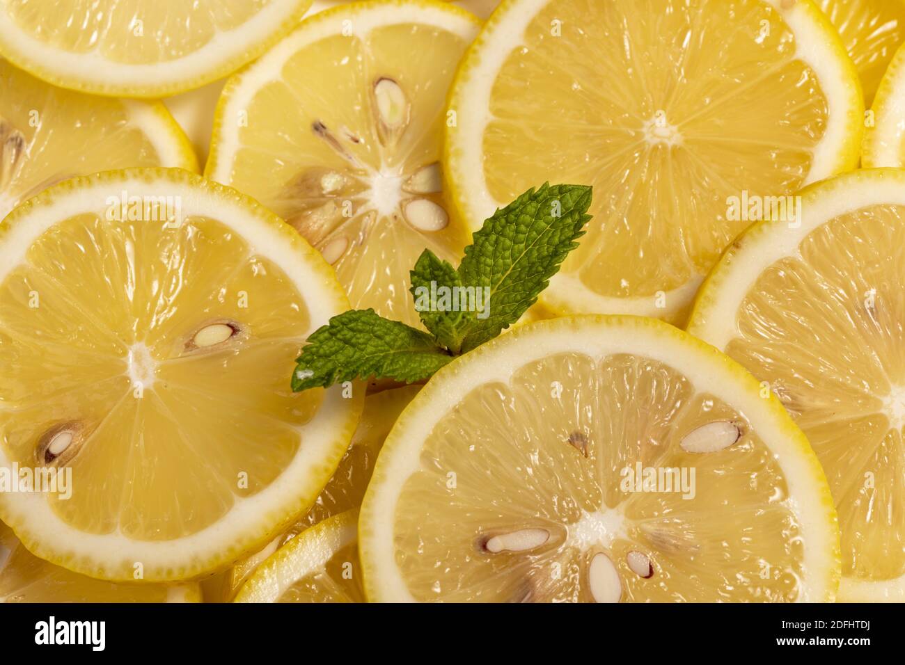 A top view of mint leaves on many slices of lemon Stock Photo - Alamy