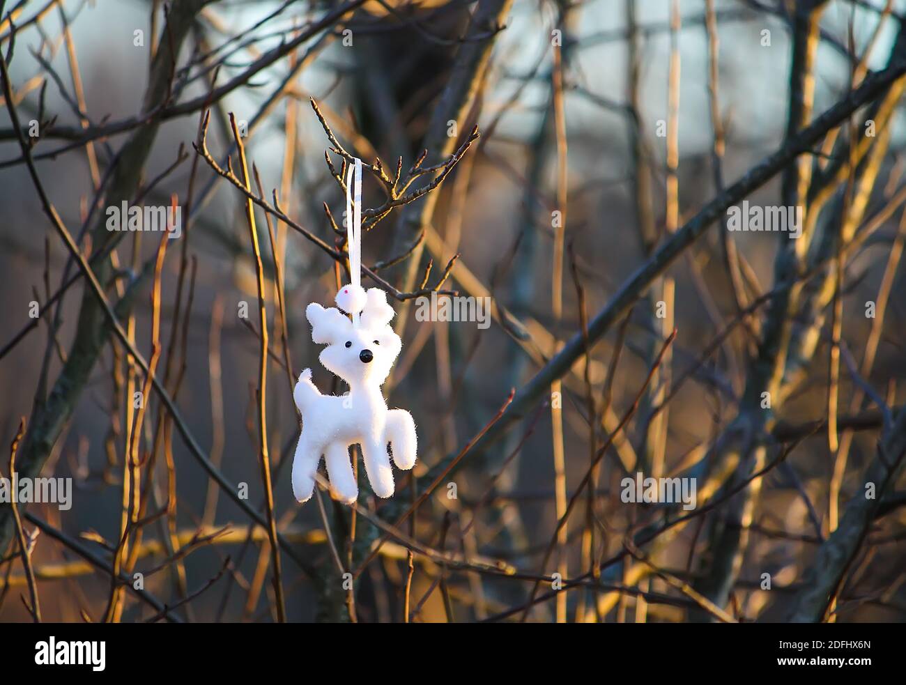 Fluffy deer hi-res stock photography and images - Alamy