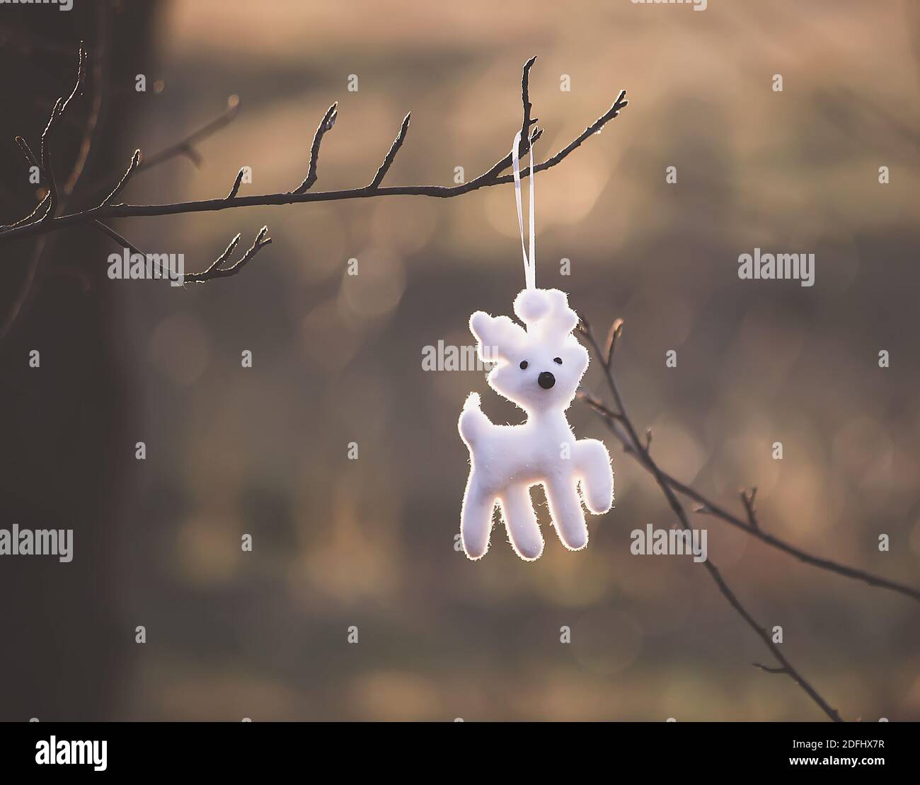 Fluffy deer hi-res stock photography and images - Alamy