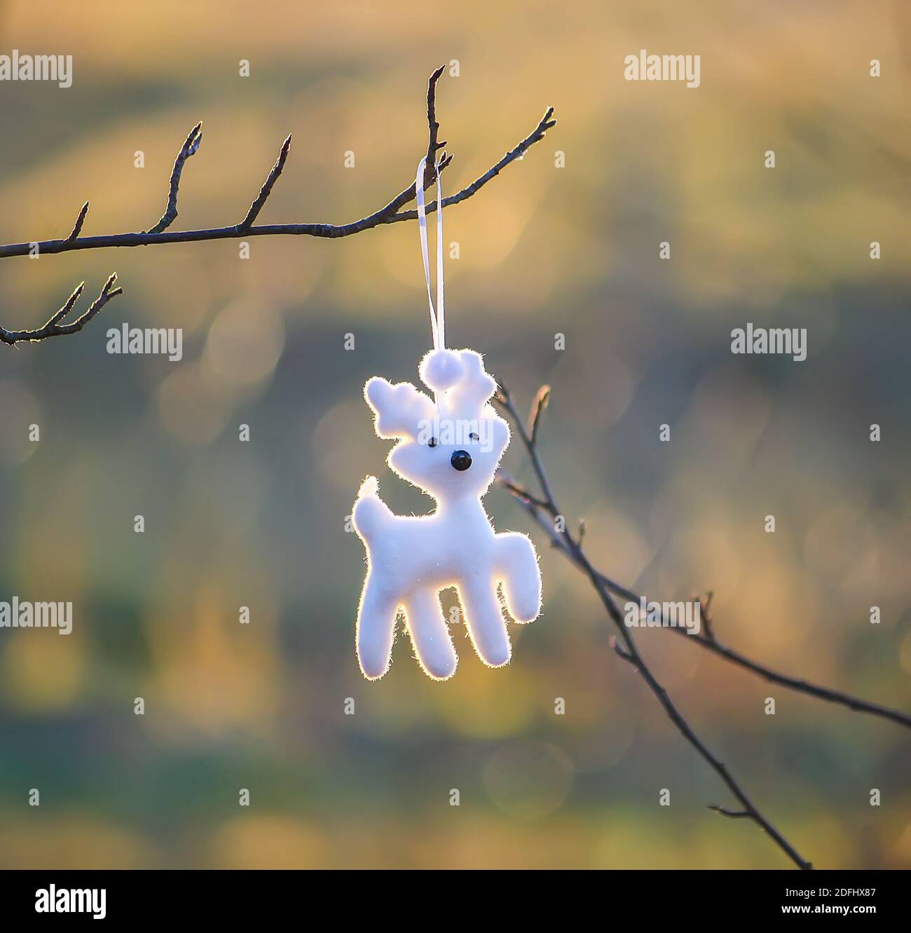 Fluffy deer hi-res stock photography and images - Alamy