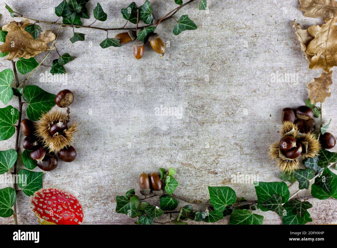 autumn moods background, wallpaper composition, top view Stock Photo ...
