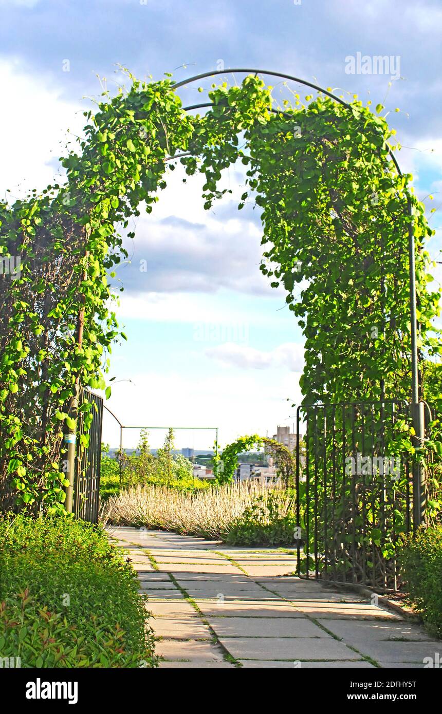 Plant arch in the park Stock Photo - Alamy