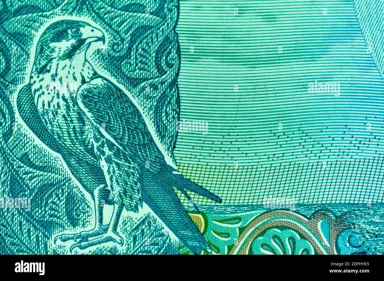 A closeup of the twenty dirham banknote of the United Arab Emirates ...