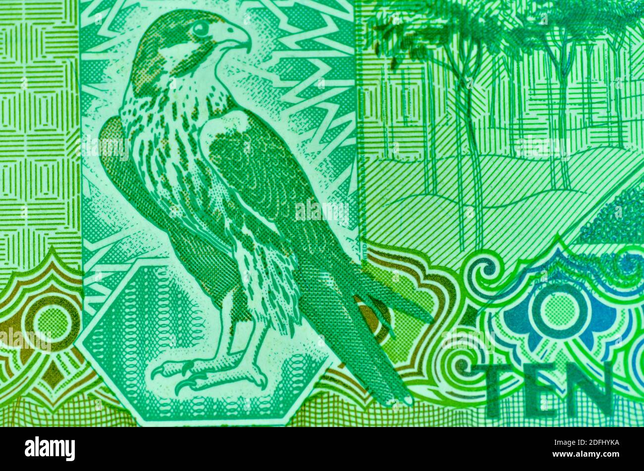 Uae 10 dirhams banknote hi-res stock photography and images - Alamy
